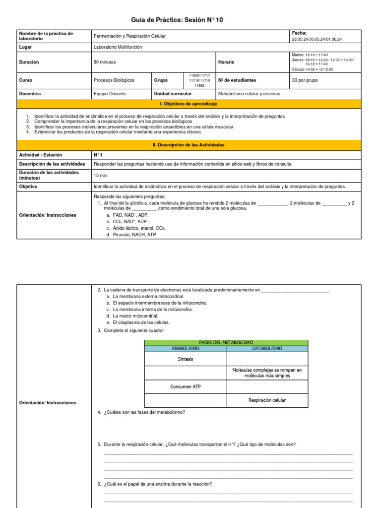 Guía de Práctica N°10 | PDF | Respiración celular | Trifosfato de adenosina