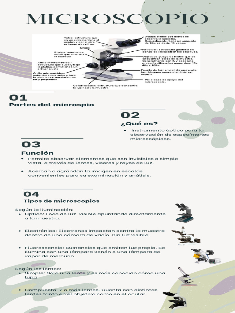 Infografia microscopio | PDF