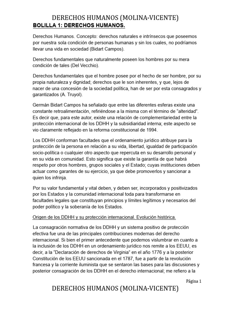 Resumen Humanos Tomi Gadea | PDF | Derechos humanos | Democracia