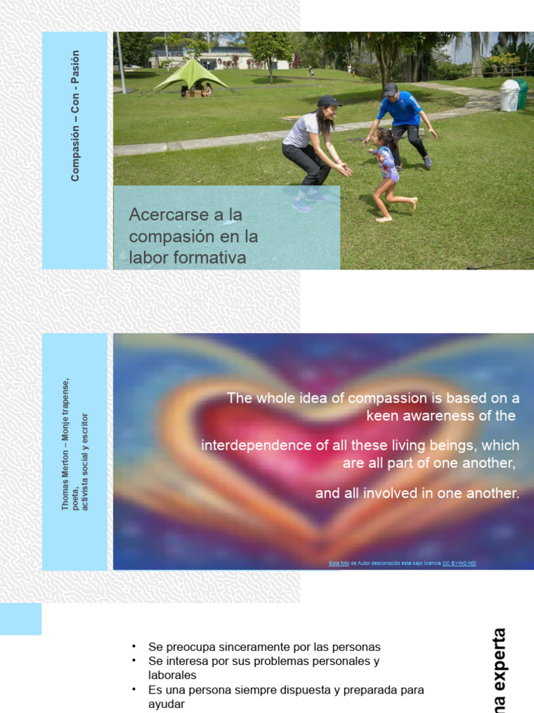 Compasion Competencia Docente Trastornos Neurodesarrollo | PDF ...