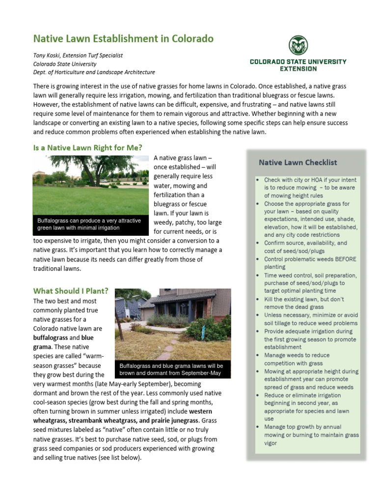 Native Lawn Fact Sheet 2020 | PDF | Lawn | Sod