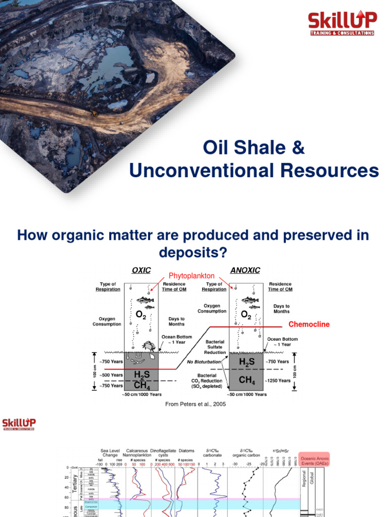Oil Shale | PDF | Oil Shale | Petroleum