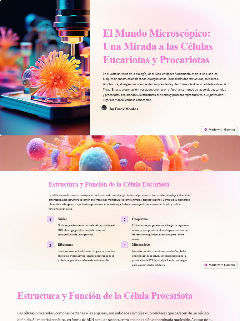El Mundo Microscopico Una Mirada A Las Celulas Eucariotas y Procariotas ...