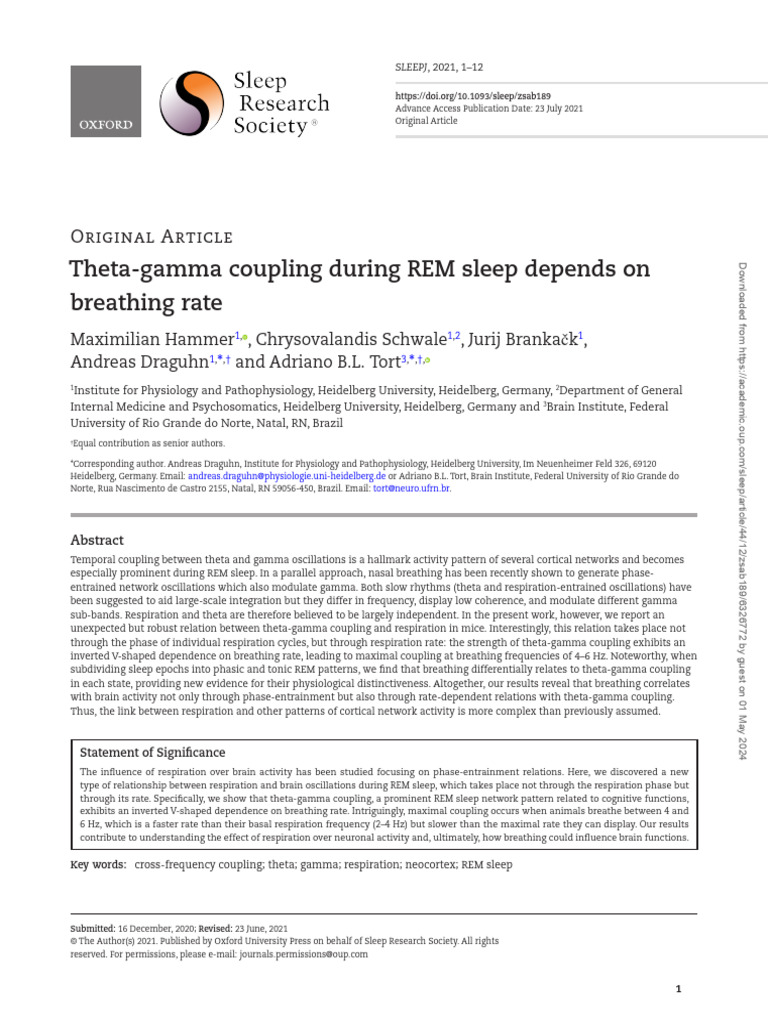 Theta-Gamma Coupling During REM Sleep Depends On Breathing Rate | PDF ...