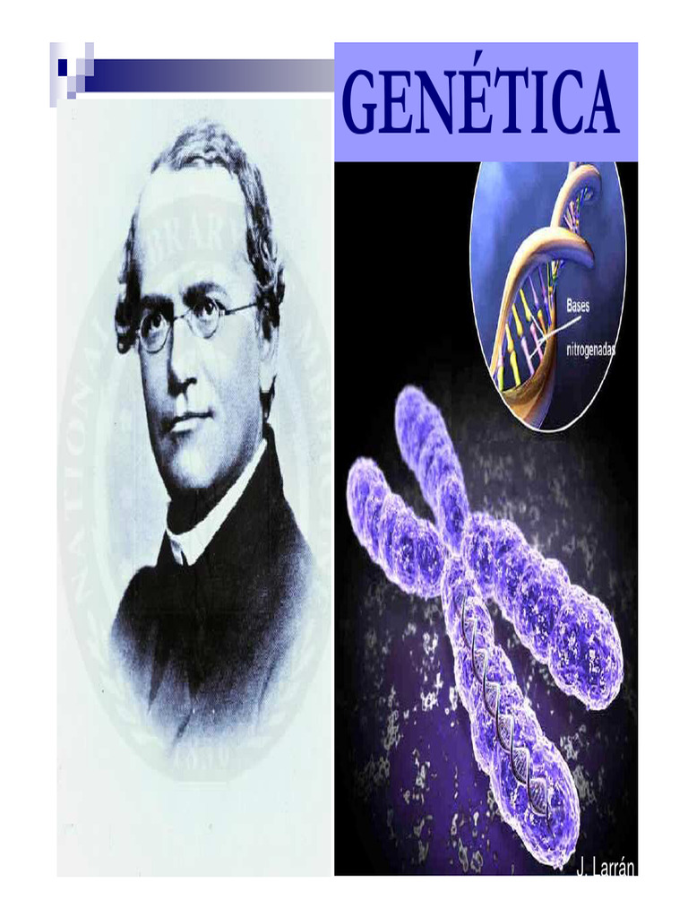 Gen Tica | PDF | Dominancia (Genética) | Cigosidad