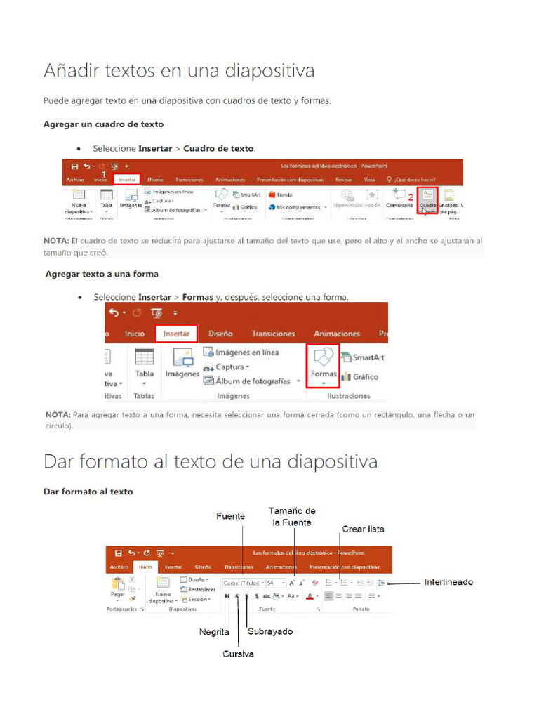 Insertar Texto y Dar Formato | PDF