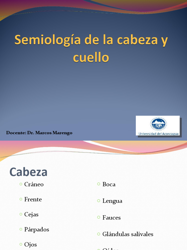 Clase 7 Cabeza y Cuello | Descargar gratis PDF | Anatomía humana | Cabeza y cuello humanos