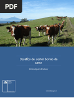 Censo Agrop 2024 Resultados Preliminares | PDF | Agricultura