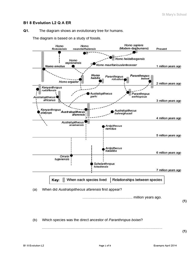 Evolution Exam Questions and Answers | PDF | Homo | Evolution