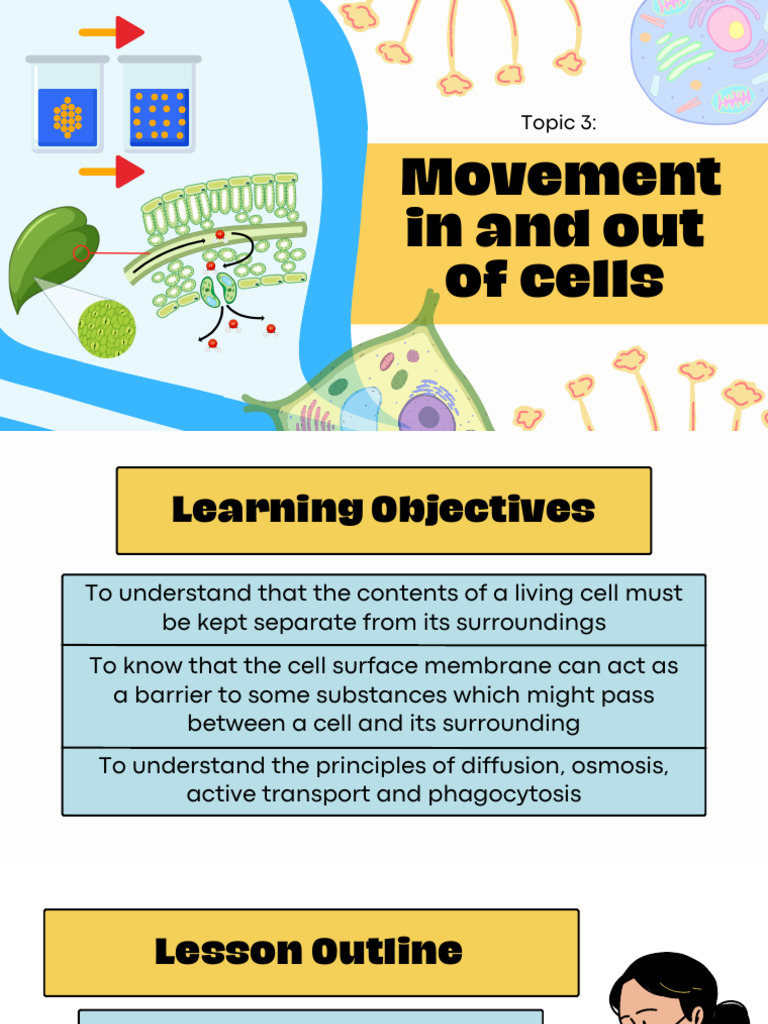 Chap. 3 Movement in and Out of Cells | PDF | Osmosis | Diffusion
