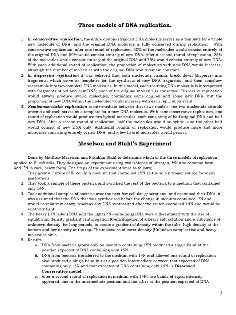 DNA Replication-UG | PDF | Dna Replication | Primer (Molecular Biology)
