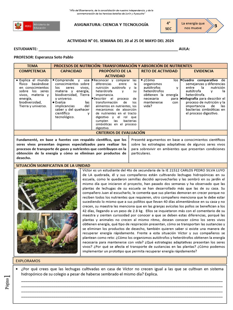 grado 4°Sec - UNIDAD 3 - ACTIVIDAD 1 (CyT Explica 2024) - Procesos de Nutrición Transformación ...