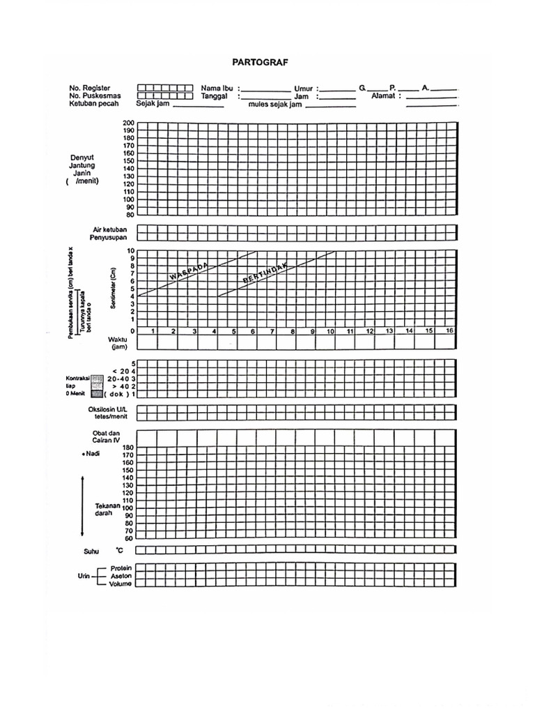 Partograf | PDF