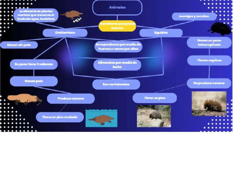 Arbol de Los Animales | PDF