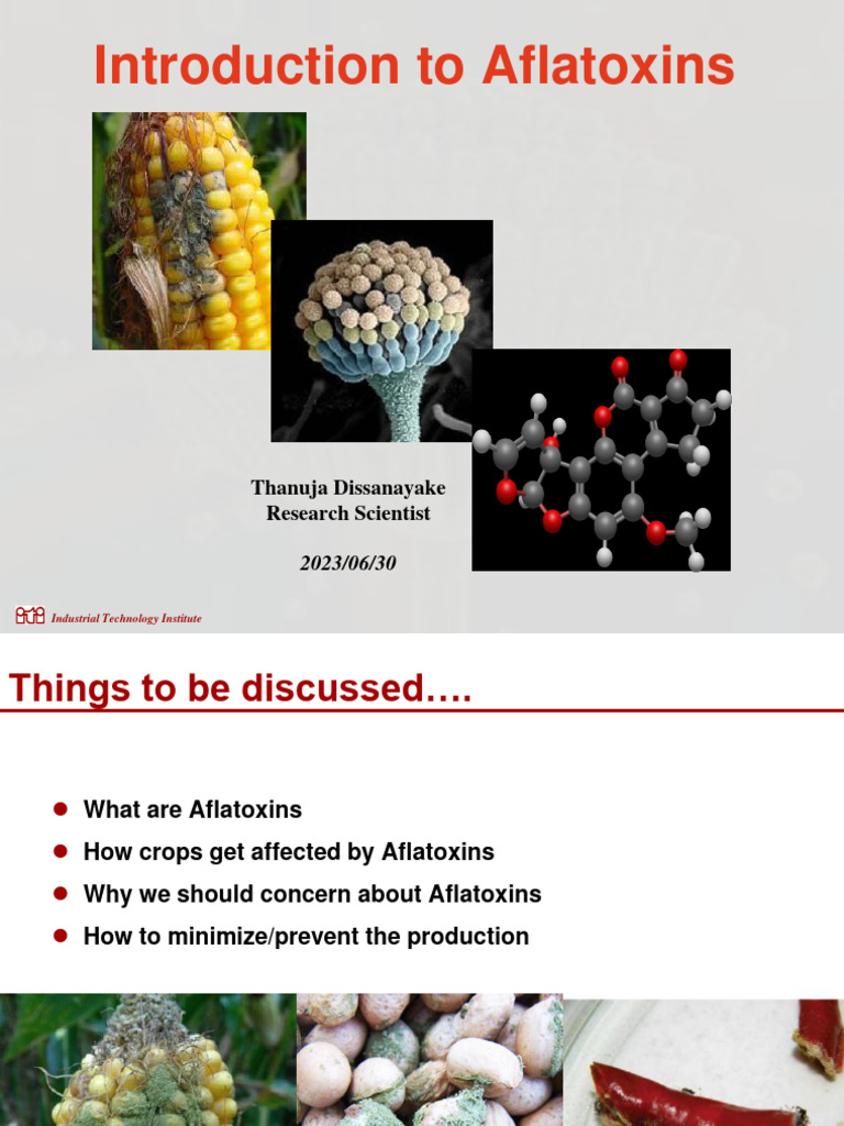 Introduction To Aflatoxins | PDF | Science & Mathematics