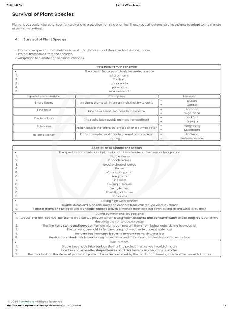 Plant Survival Strategies Explained | PDF | Trees | Leaf
