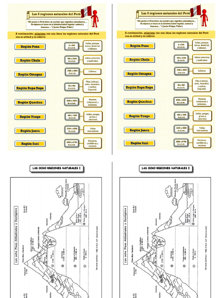 FICHA 8 Regiones Del Perú | PDF