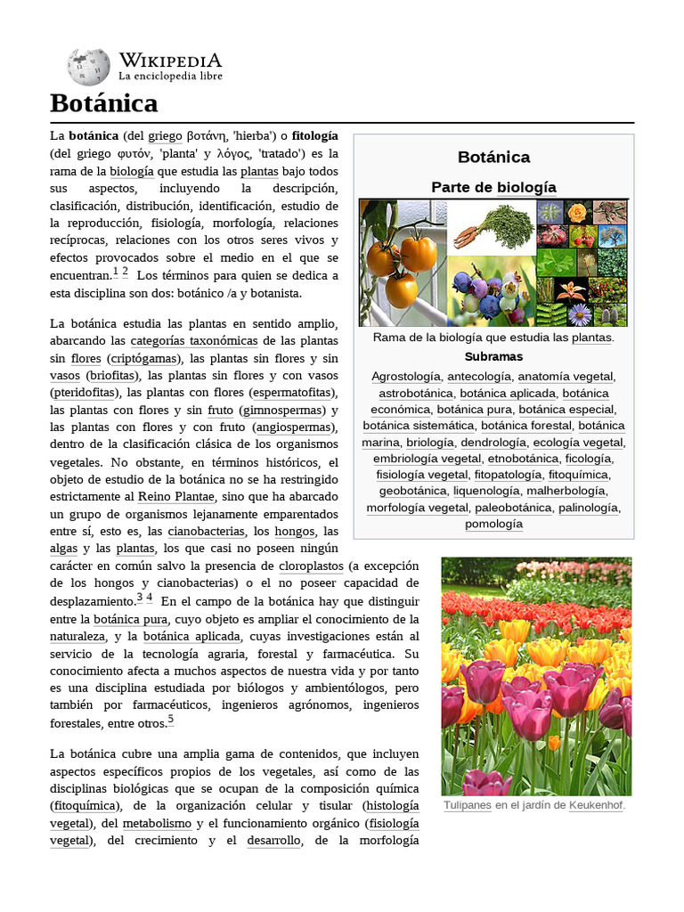 Introducción a la Botánica y sus Ramas | PDF | Botánica | Plantas