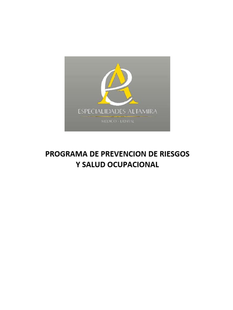 Programa Anual de Prevencion de Riesgos | PDF | Seguridad y salud ocupacional | Relaciones laborales
