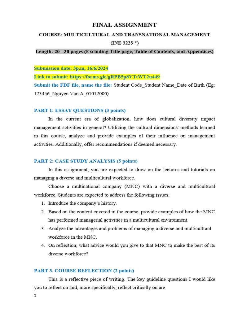 IM - Final Assignment 2024 | PDF