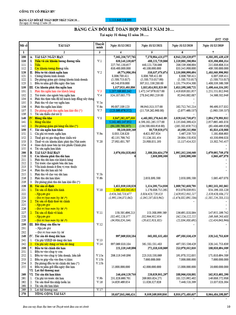 4.BCTC 2022 HV | PDF