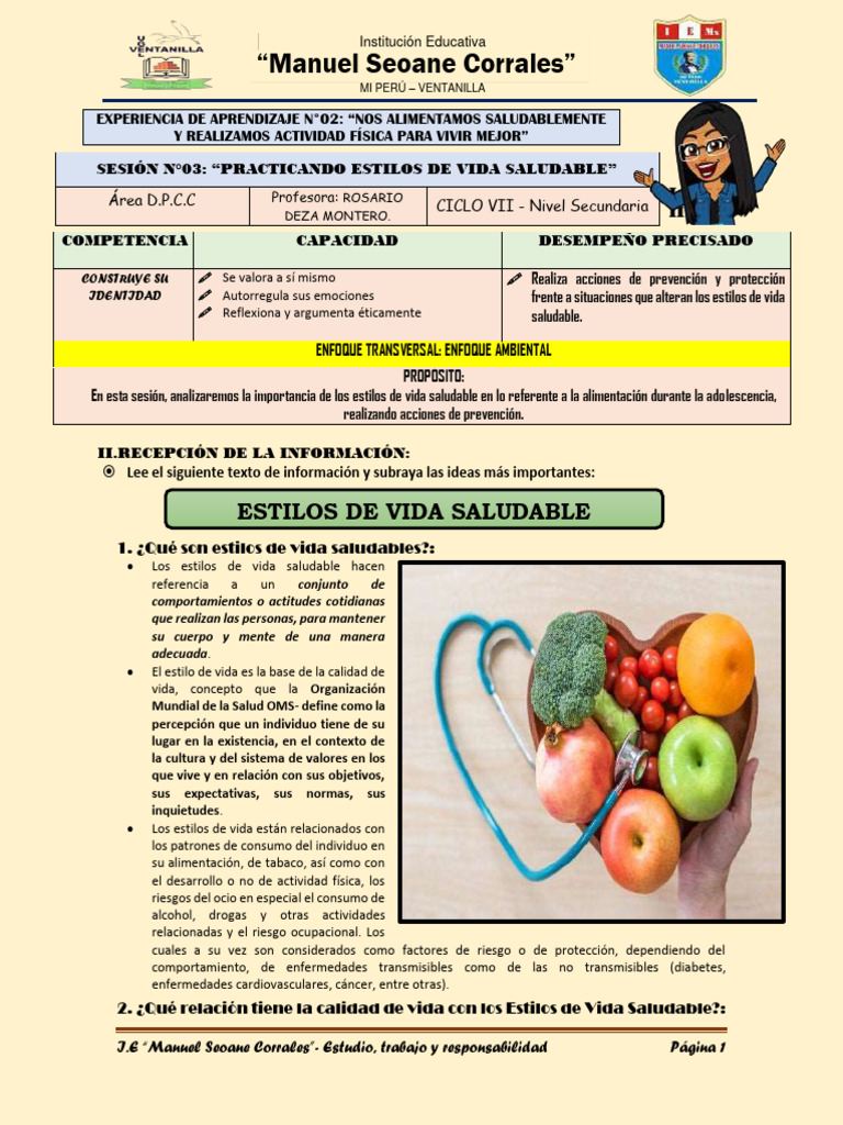 Experiencia 2 sesión 3 DPCC 4° estilos de Vida saludable ok | PDF | Estrés (biología) | Obesidad