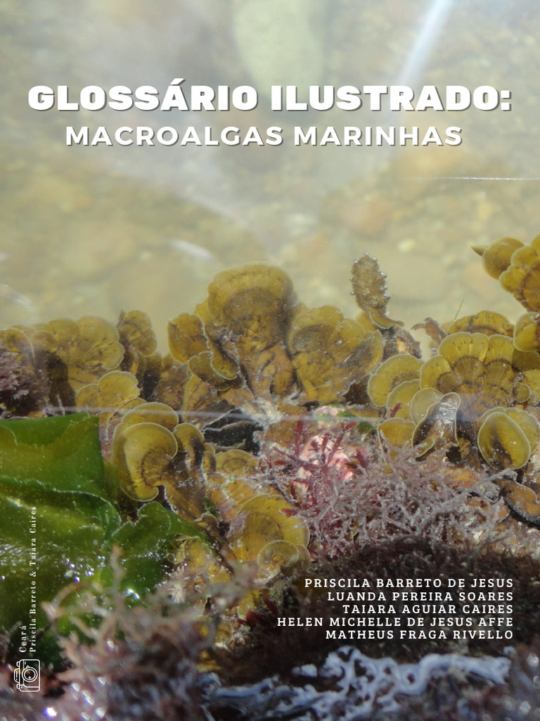 Glossário de Macroalgas Marinhas | PDF | Algas | Organismos