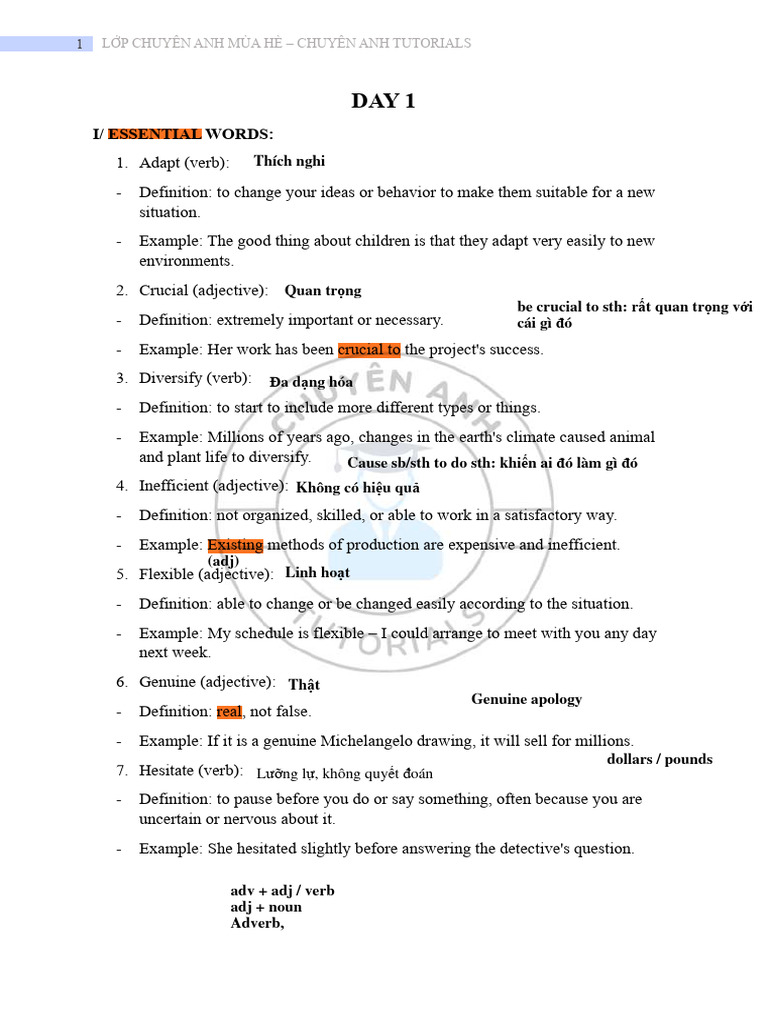 Essential English Vocabulary & Conditionals | PDF | Verb