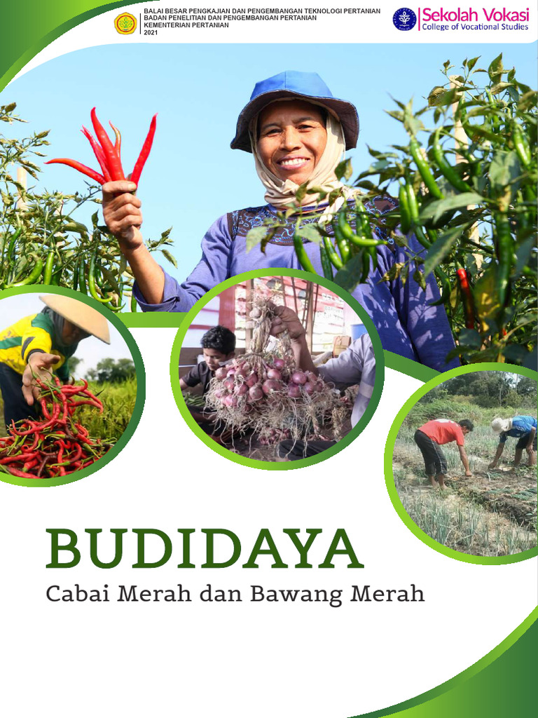 Panduan Budidaya Cabai dan Bawang Merah | PDF | Teknologi & Rekayasa