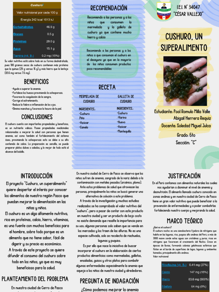 Triptico Pool | PDF | Alimentos | Nutrición