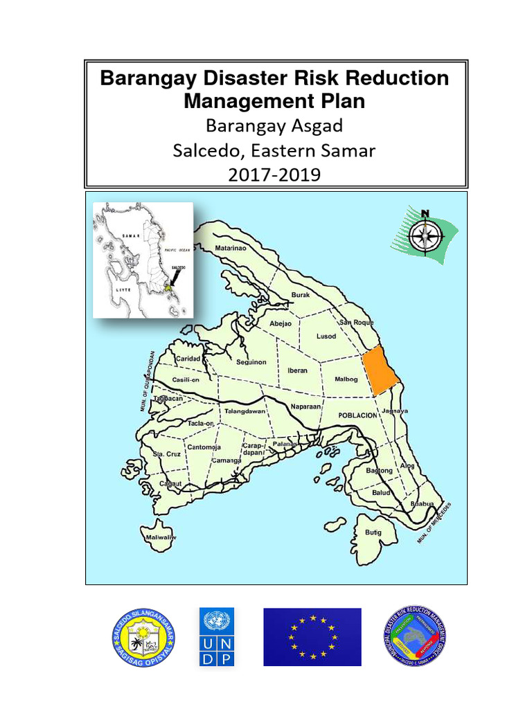 Asgad BDRRMP | PDF | Livestock | Hazards