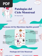 Clasificación de Fimosis Kayaba | PDF | Mamíferos machos | Pene