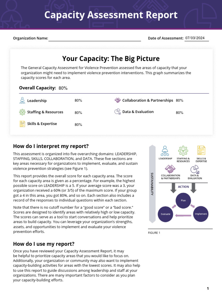 Capacity Assessment Report Results | PDF | Violence | Leadership