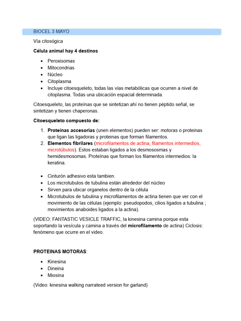 Biocel 3 Mayo - 240517 - 131845 | PDF | Actina | Microtúbulos