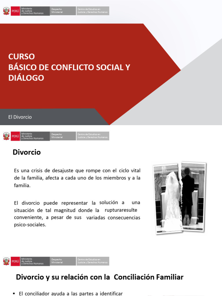 MODULO 3 El Divorcio | PDF | Divorcio | Dolor