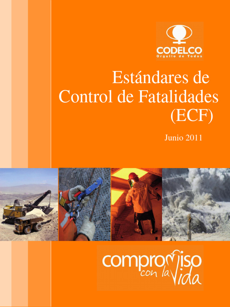 Estandares Control de Fatalidades (ECF) Codelco | Descargar gratis PDF | Outsourcing | Diseño