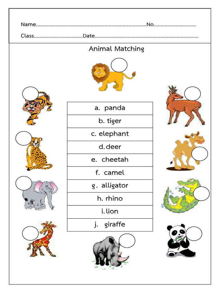 แบ่งปันใบงานเรื่อง 1animal 2020 | PDF | Zoology