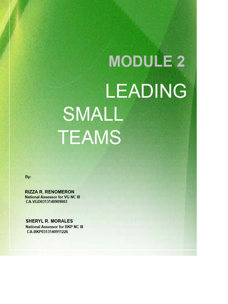 Small Team Leadership Guide | PDF | Communication | Nonverbal Communication