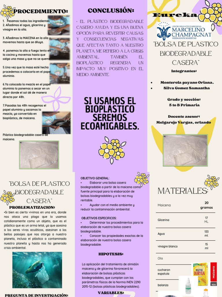 Triptico Final | PDF | El plastico