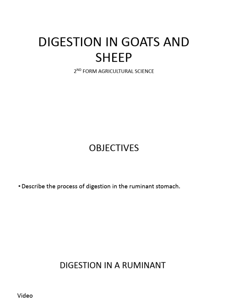 Digestion in Goats and Sheep | PDF | Digestion | Ruminant