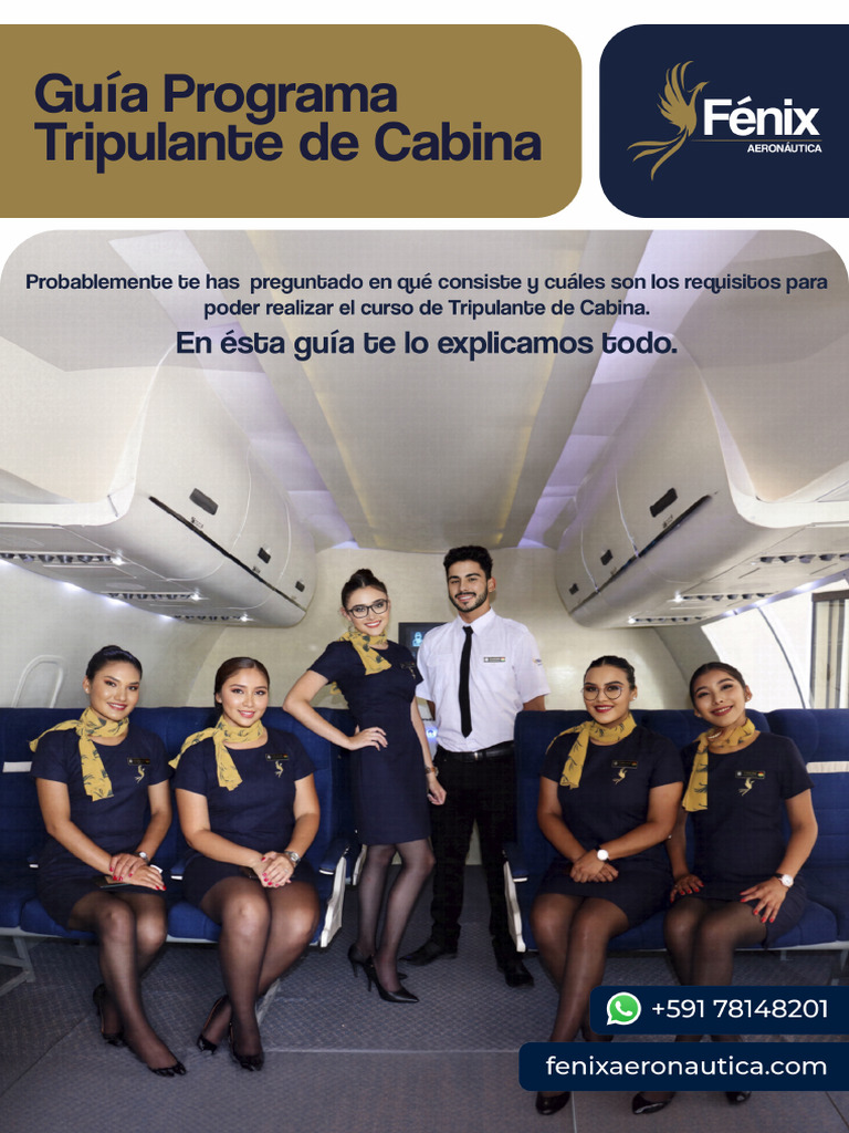 Guia_TCP_Fenix_2024 | PDF