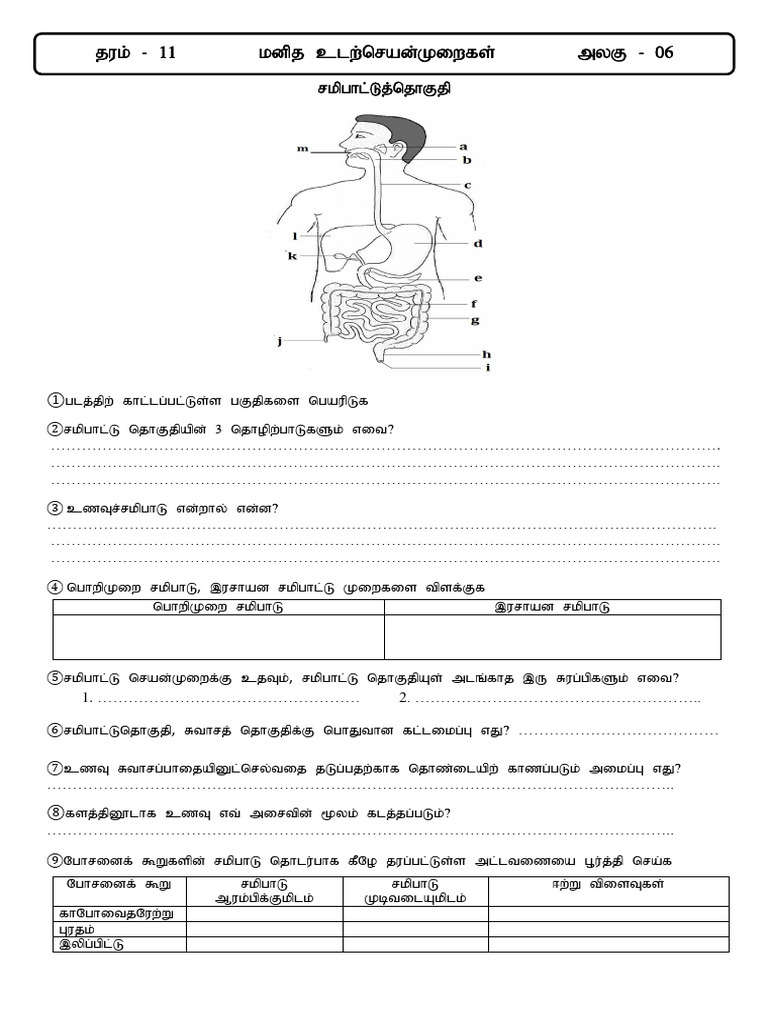 Human Body Systems | PDF | History