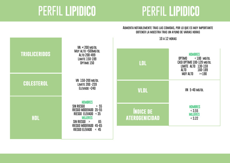 Guía de Valores del Perfil Lipídico | PDF