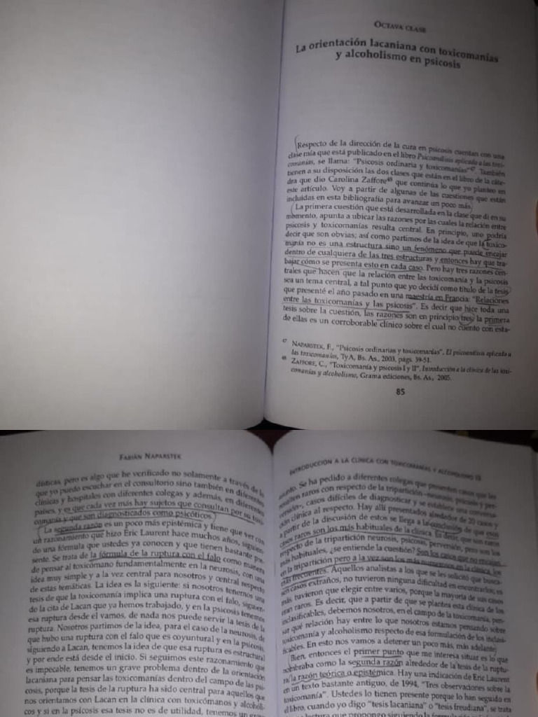Naparstek Introduccion III - Orientacion Psicosis | PDF | Estudios de ...