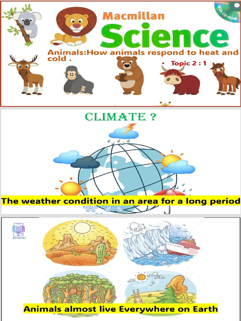 Grade3 - How Do Animals Respond To Heat and Cold | PDF