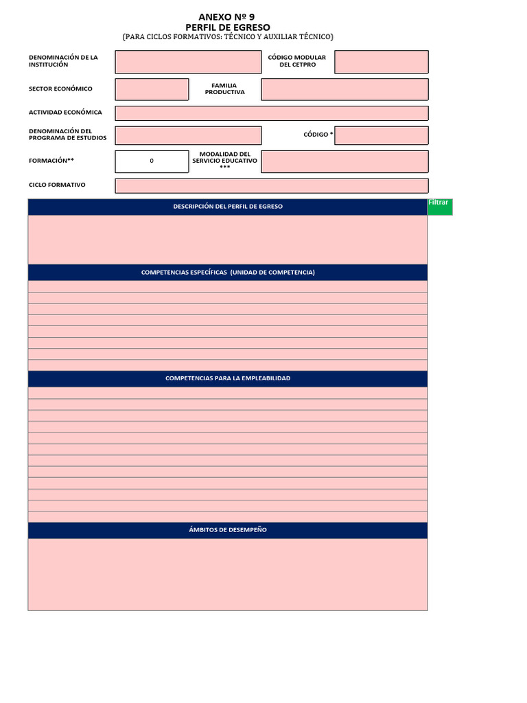 Formato - PE - CETPRO - Vacío | PDF