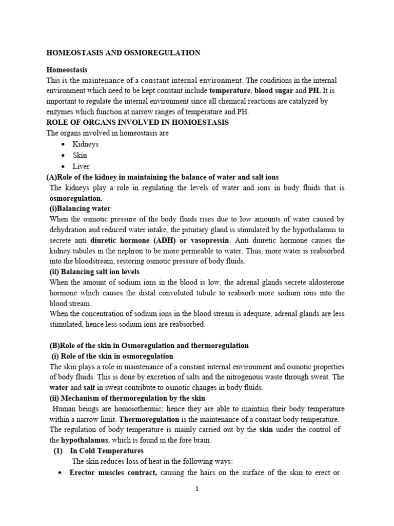Homeostasis and Osmoregulation Final Version 093839 | PDF | Homeostasis ...