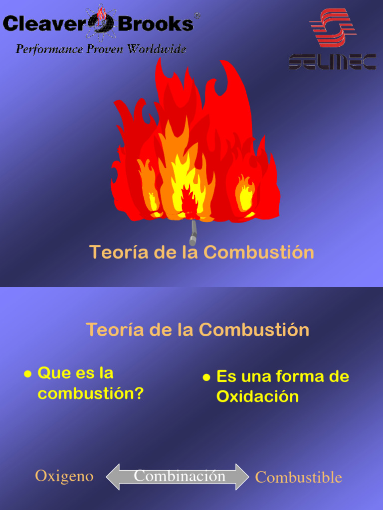 Combustion | PDF | Combustión | Combustibles
