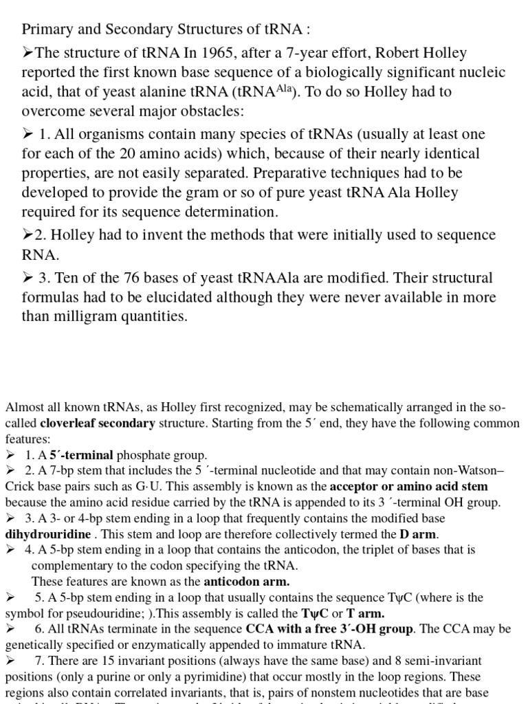 Secondary and Tert Structures of TRNA MRNA | PDF | Ribosomal Rna | Ribosome