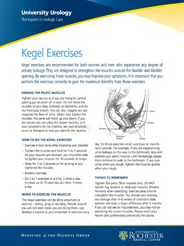 kegel-exercises | Download Free PDF | Urinary Incontinence | Medical ...